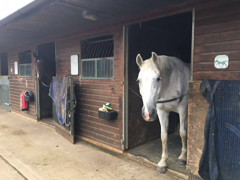 Part and full livery - Hilltop Equestrian